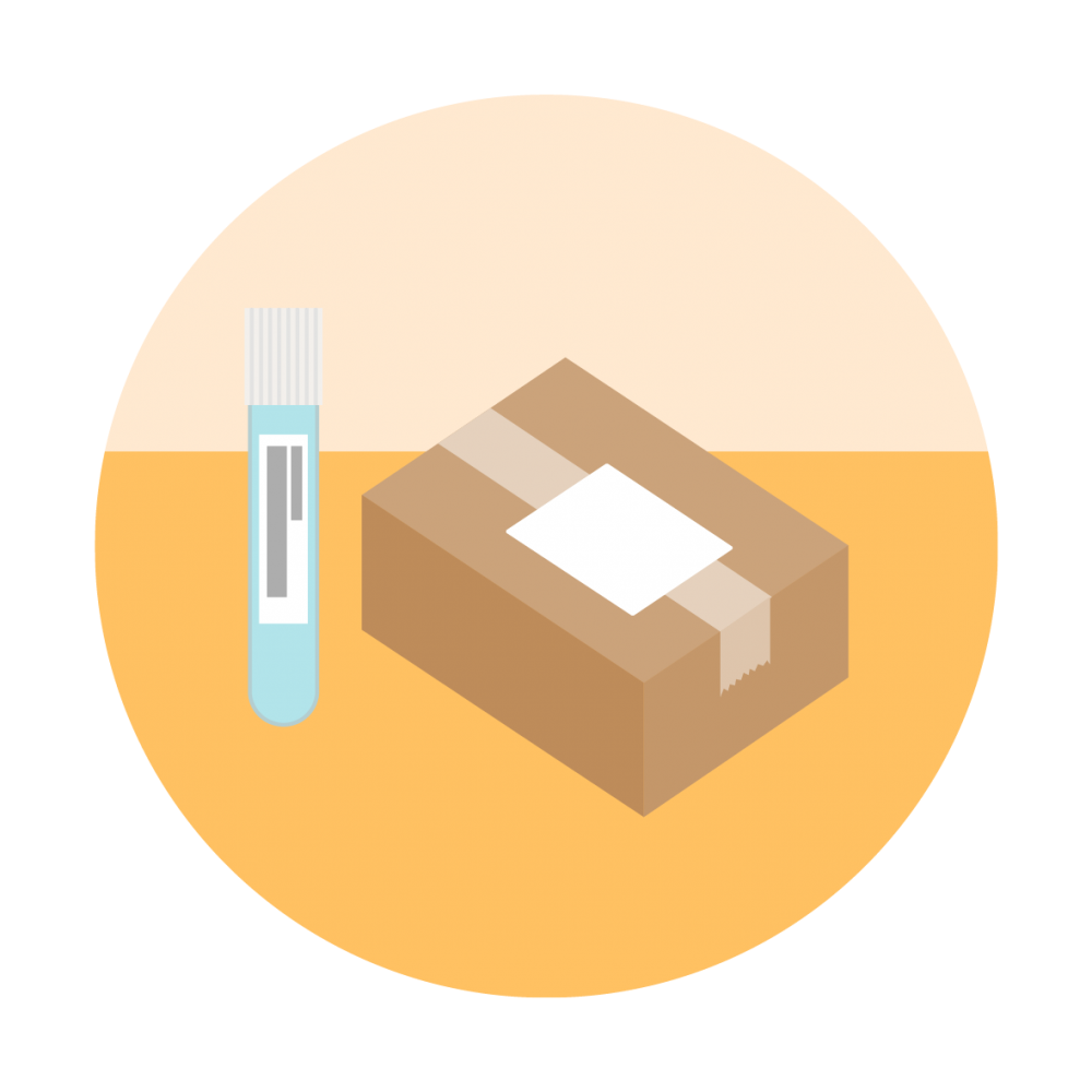 Home - Discover Labs